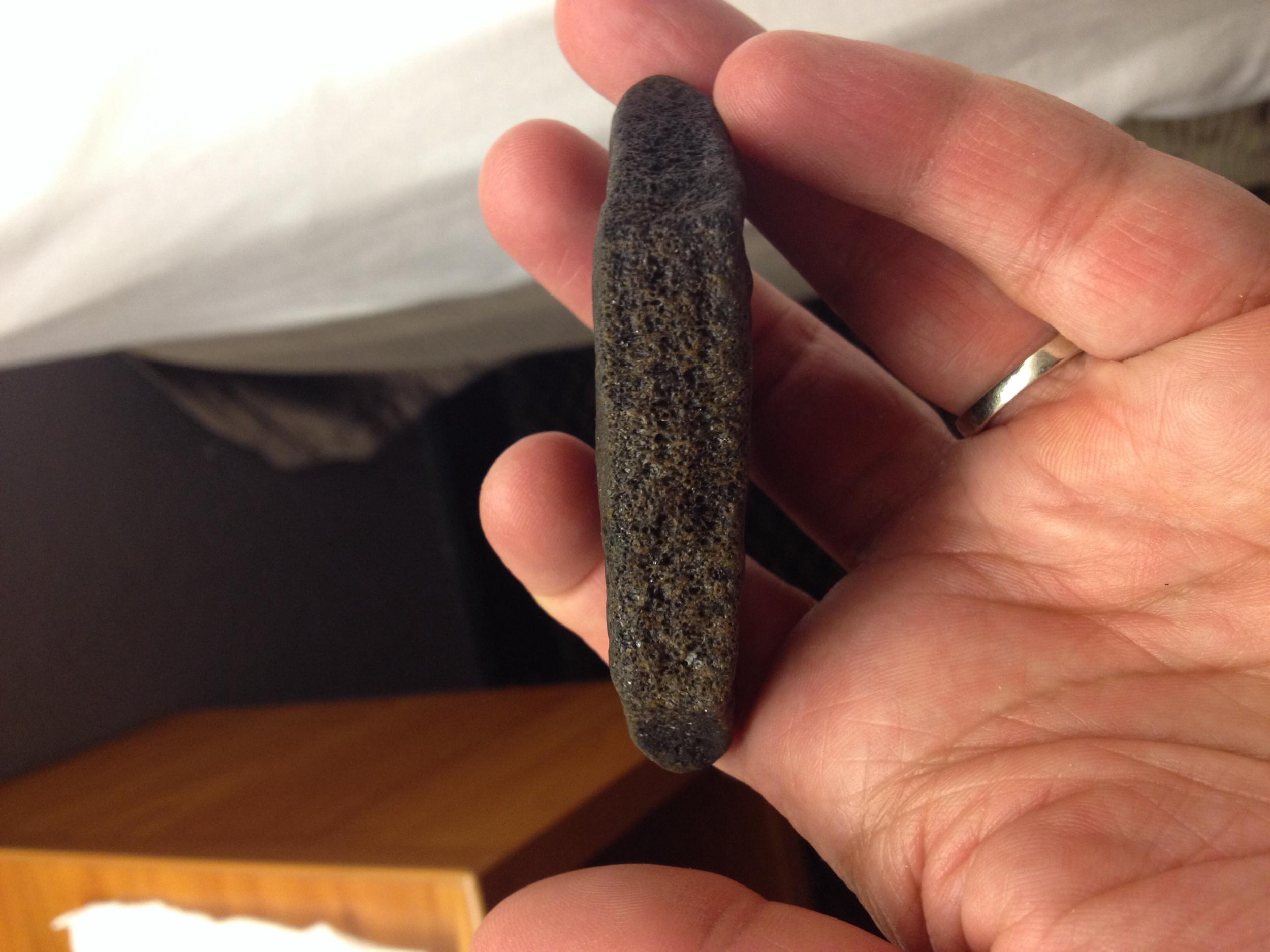Florida Beach Find - Fossil ID - The Fossil Forum