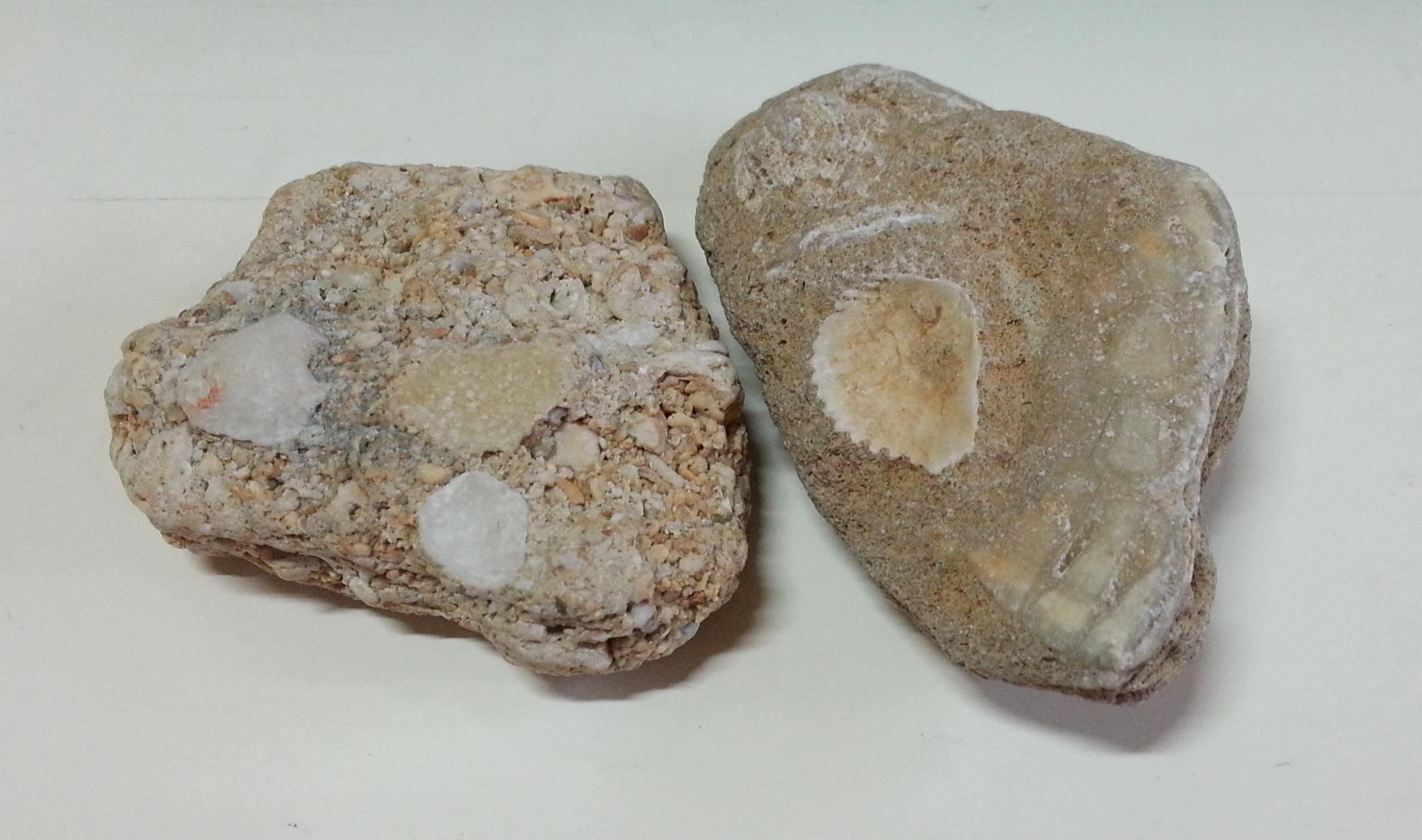 Yagachito, Okinawa, Japan - Fossil Hunting Trips - The Fossil Forum