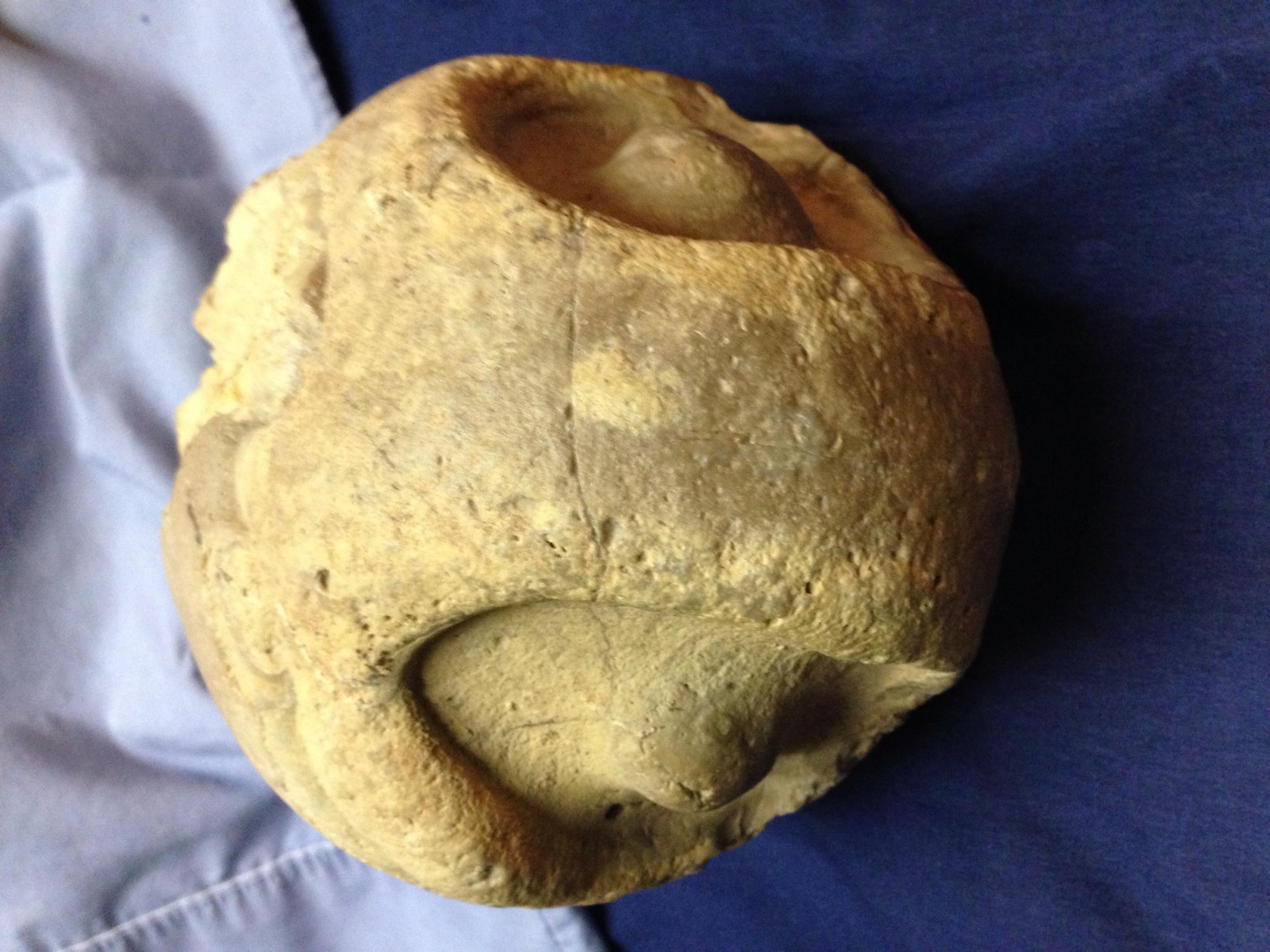 Not even sure if this big ball is a fossil? - Fossil ID - The Fossil Forum