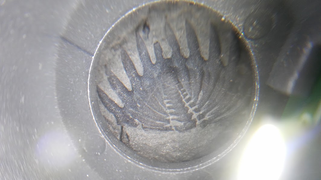 Photographing tiny fossils - Micro-paleontology - The Fossil Forum