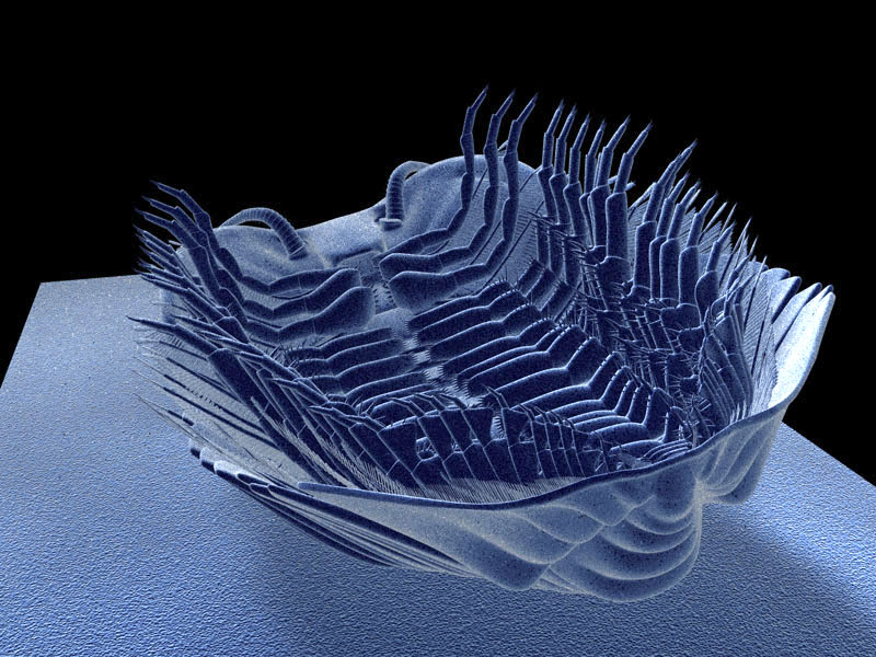 Trilobite : a 3D reconstruction - Paleo Re-creations - The Fossil Forum