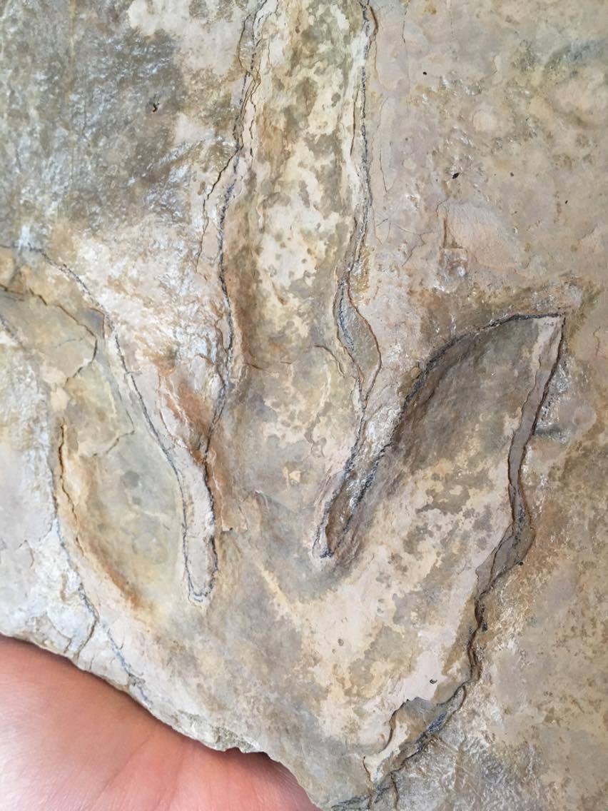 How to remove graphite safely from rock? - Questions & Answers - The ...