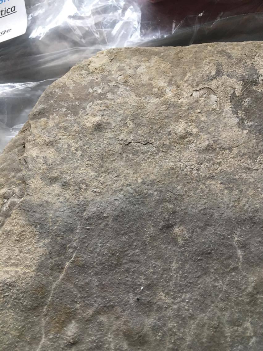 How to remove graphite safely from rock? - Questions & Answers - The ...