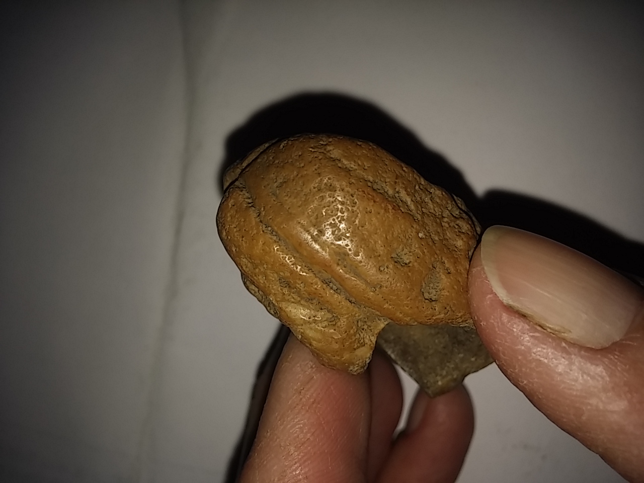 Is it a rock or a petrified walnut - Rocks & Minerals - The Fossil Forum