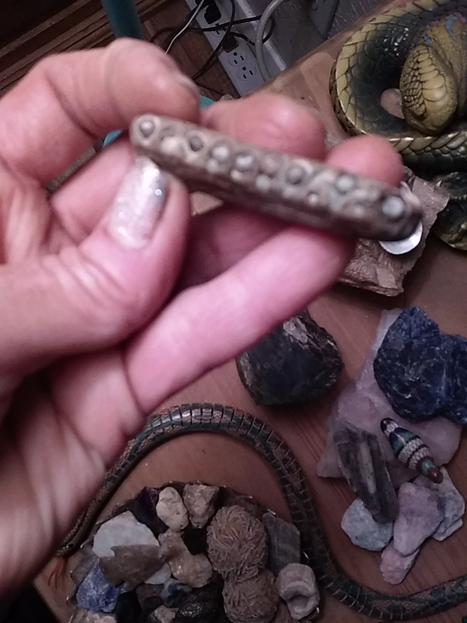 Bone turned to stone with teeth - Fossil ID - The Fossil Forum