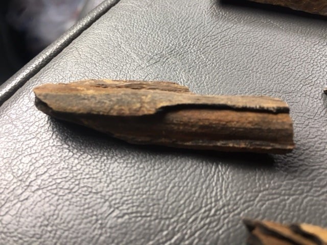 Petrified Stick? - Fossil ID - The Fossil Forum