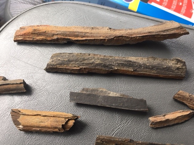 Petrified Stick? - Fossil ID - The Fossil Forum