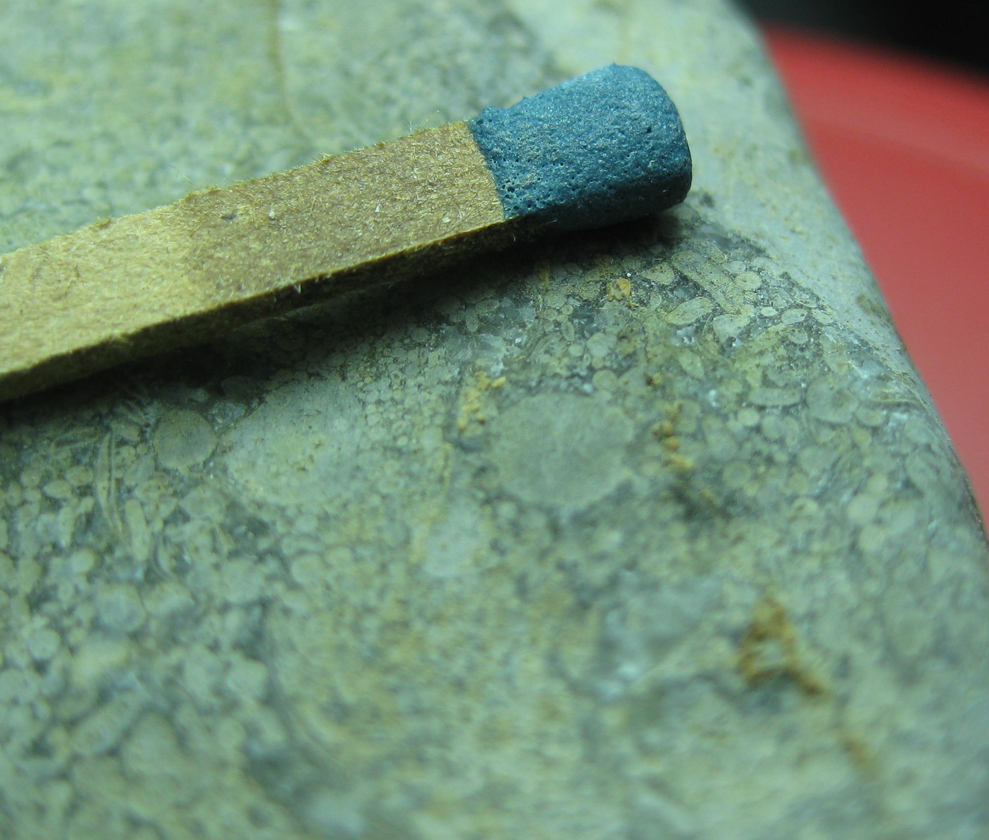 Agnathan scale ? - Fossil ID - The Fossil Forum