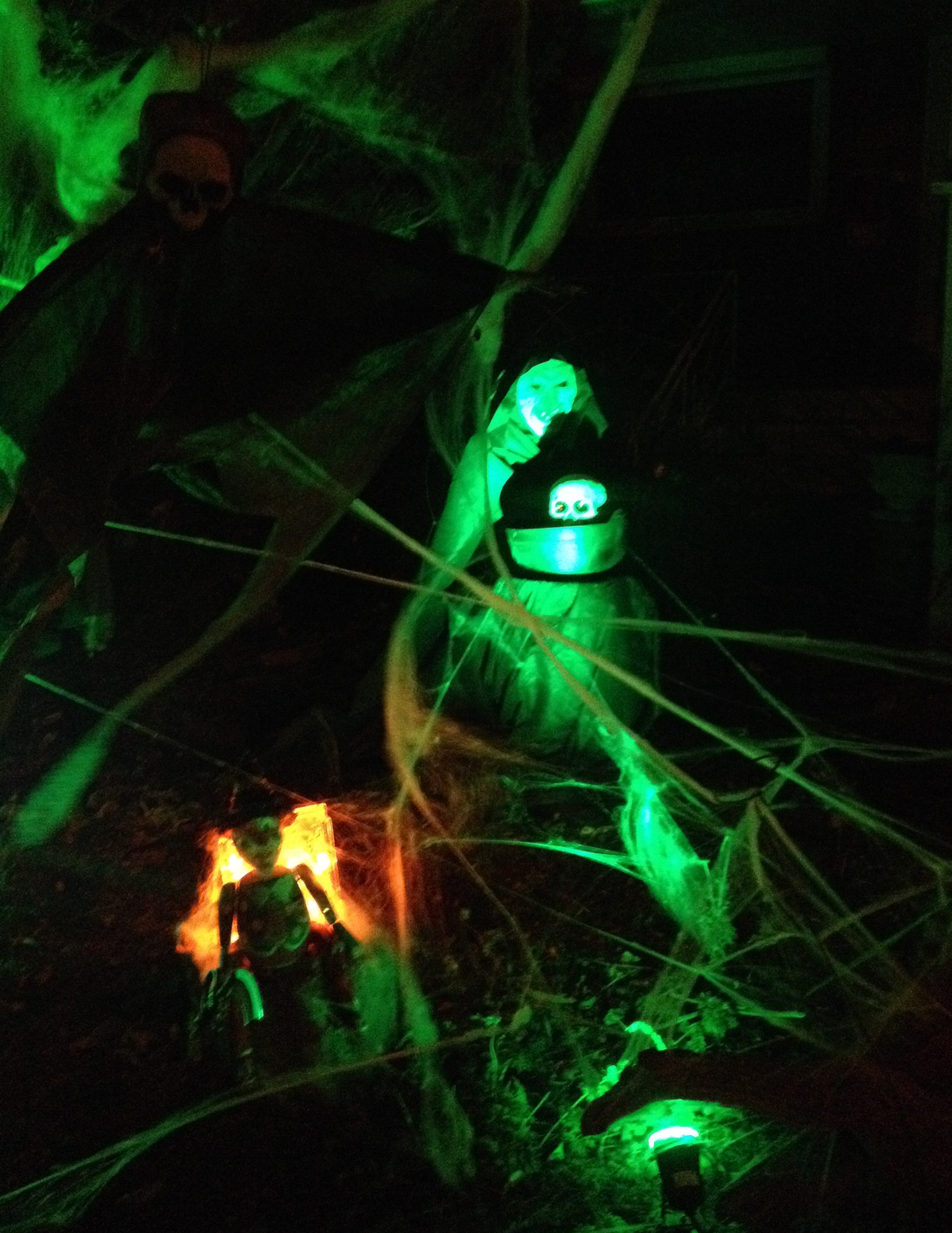 Hallowe'en Spooky Fossils - General Fossil Discussion - The Fossil Forum