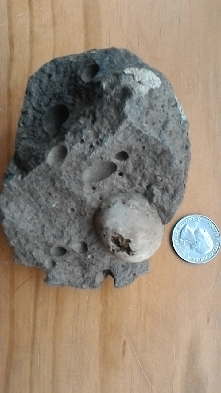 Is this a fossilized egg in basalt? - Fossil ID - The Fossil Forum