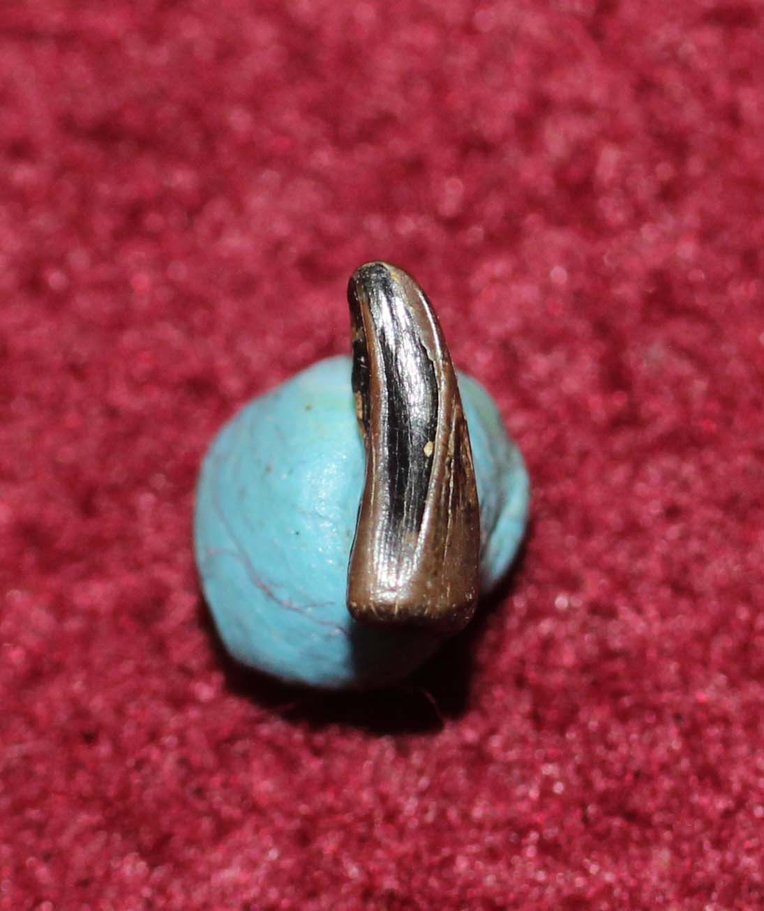 Mystery Lance Formation Tooth - Fossil ID - The Fossil Forum