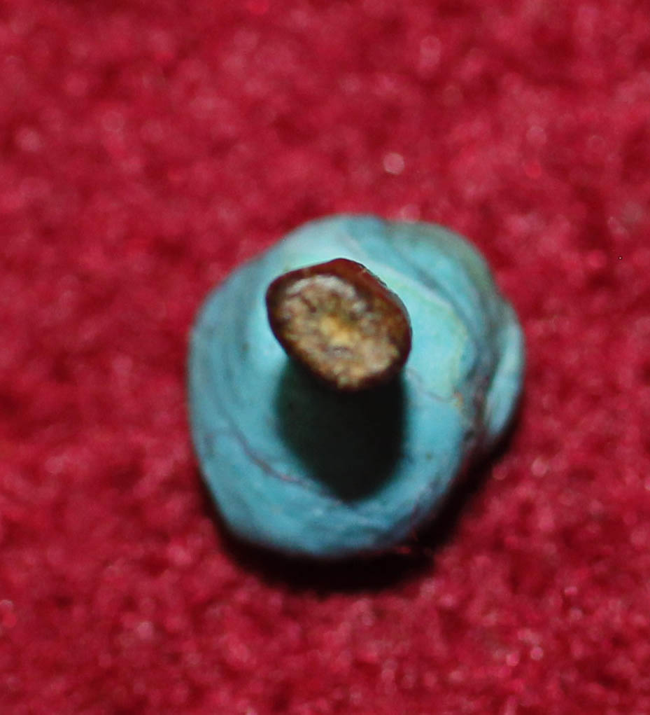 Mystery Lance Formation Tooth - Fossil ID - The Fossil Forum