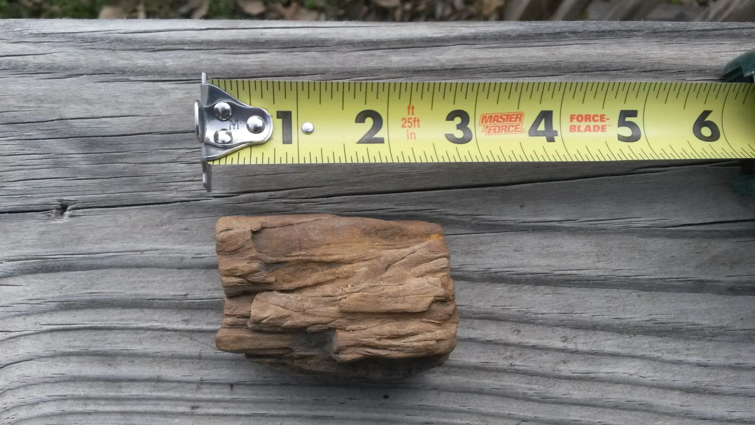 (Spooky) Mattoon Formation Wood - Fossil ID - The Fossil Forum