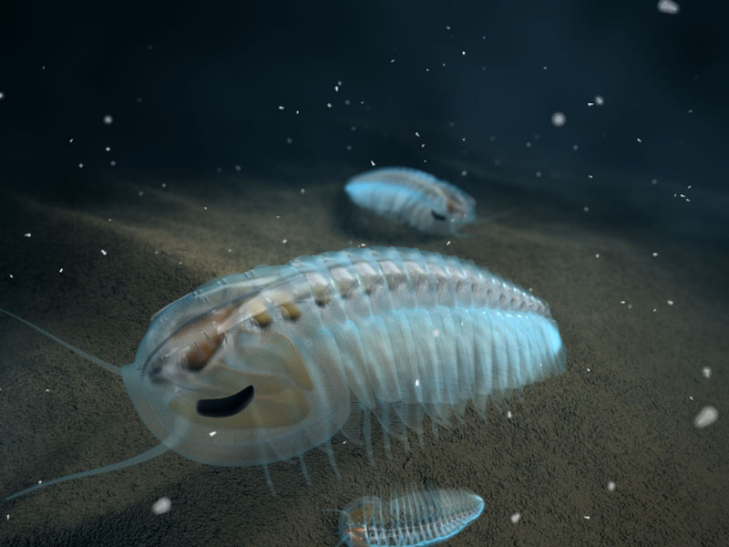 Trilobite : a 3D reconstruction - Page 2 - Paleo Re-creations - The ...