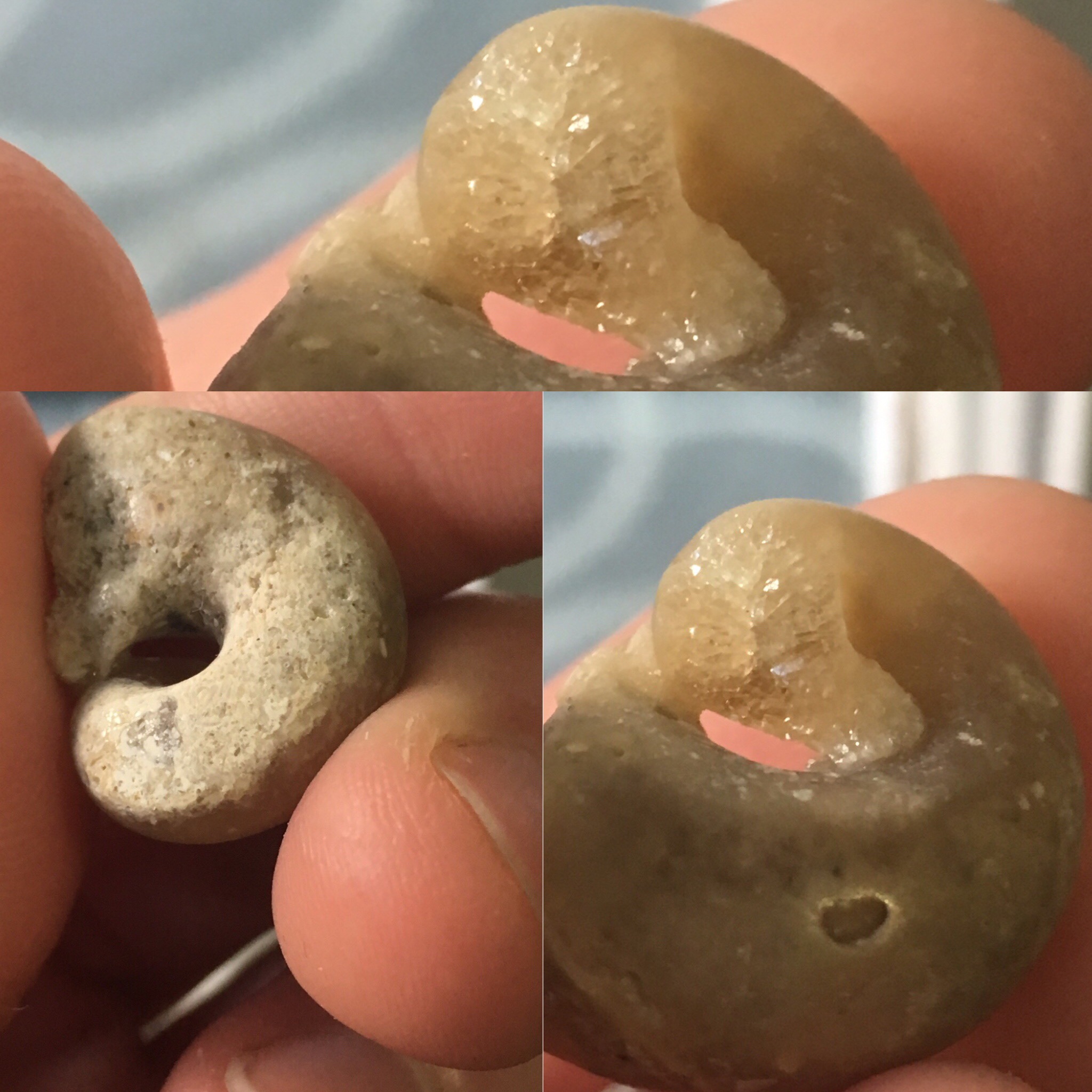 Question-Exposing crystallization? - Fossil Preparation - The Fossil Forum