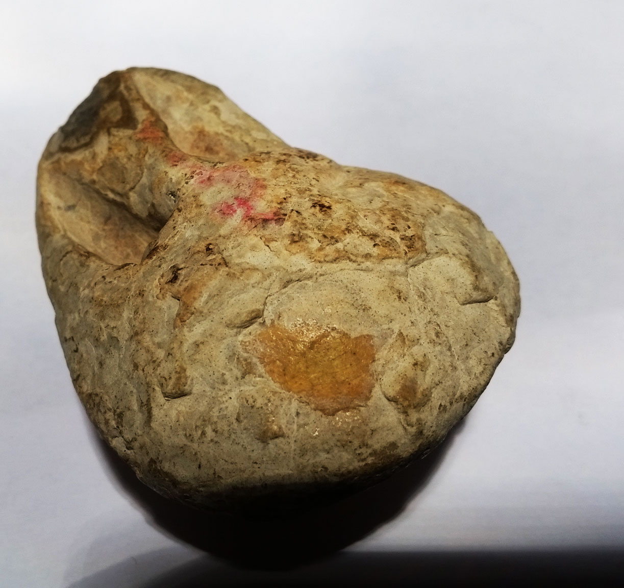 Petrified wood? Fossil? Man made? - Fossil ID - The Fossil Forum