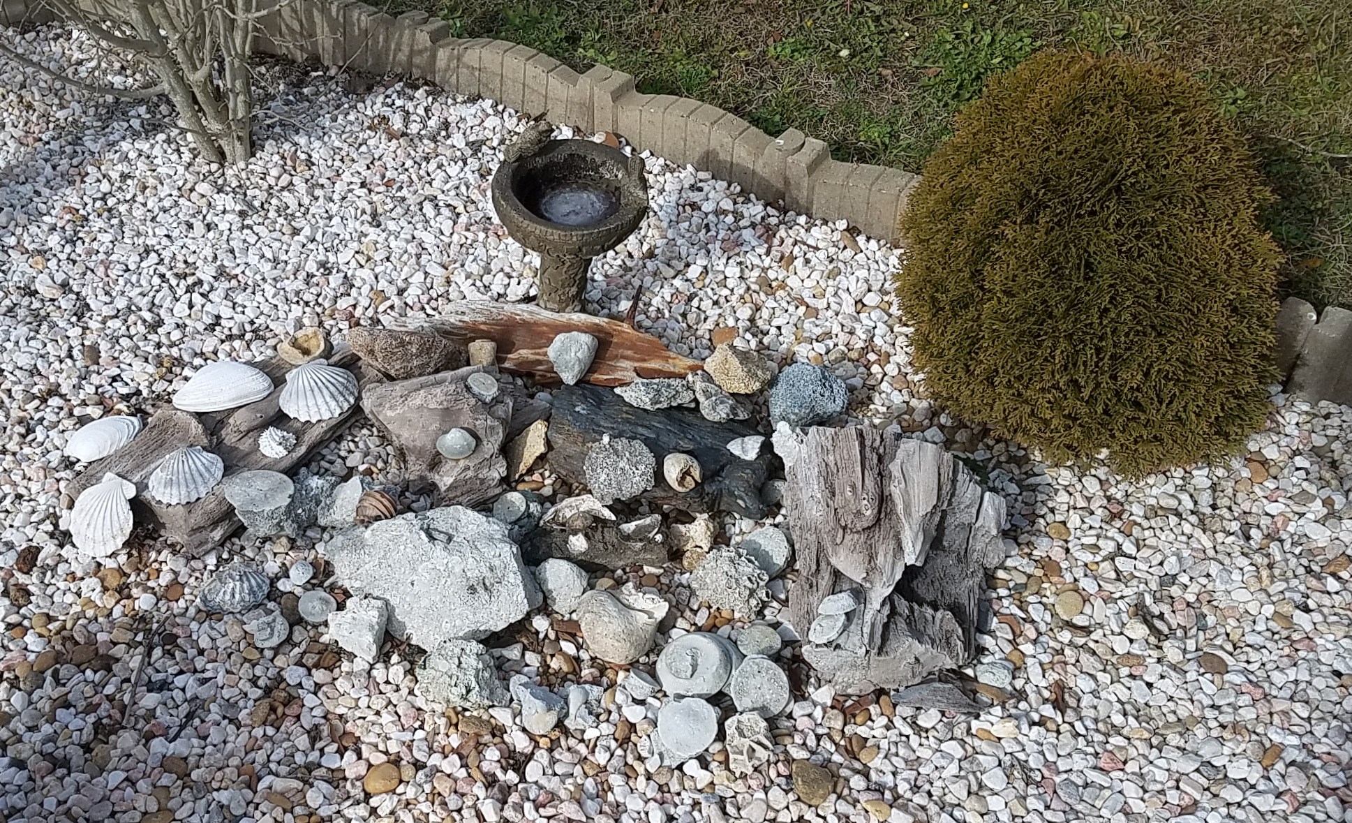 Fossil Garden - Member Collections - The Fossil Forum