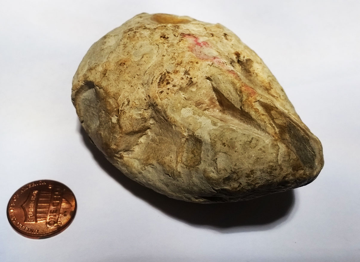 Petrified wood? Fossil? Man made? - Fossil ID - The Fossil Forum