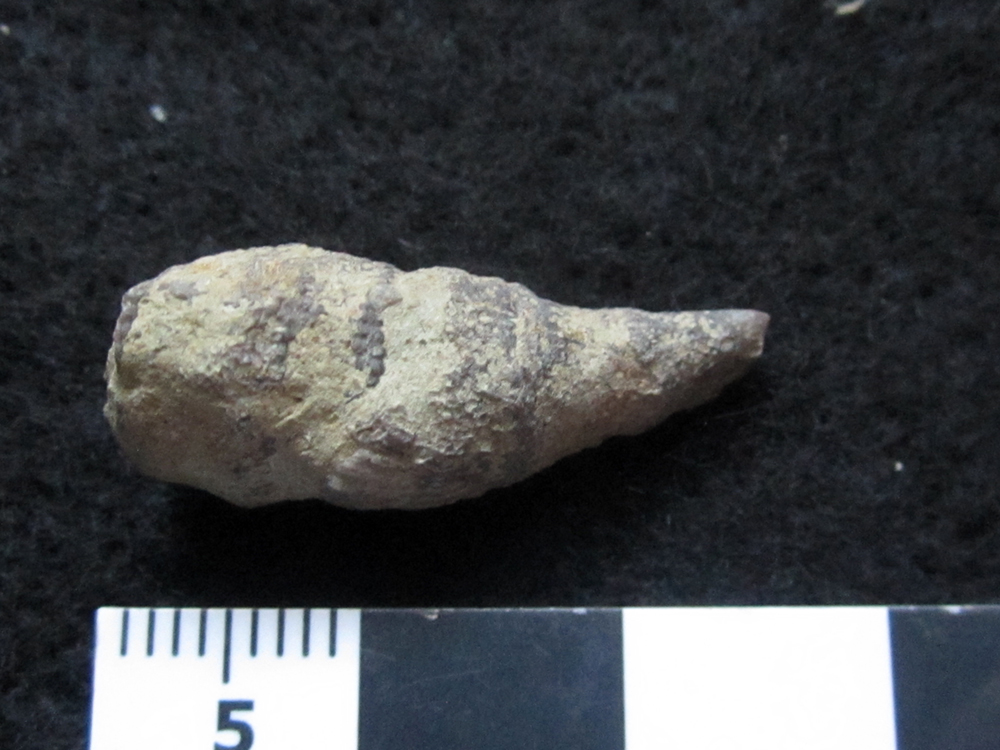 Unknown Wenlock Limestone fossils - Fossil ID - The Fossil Forum