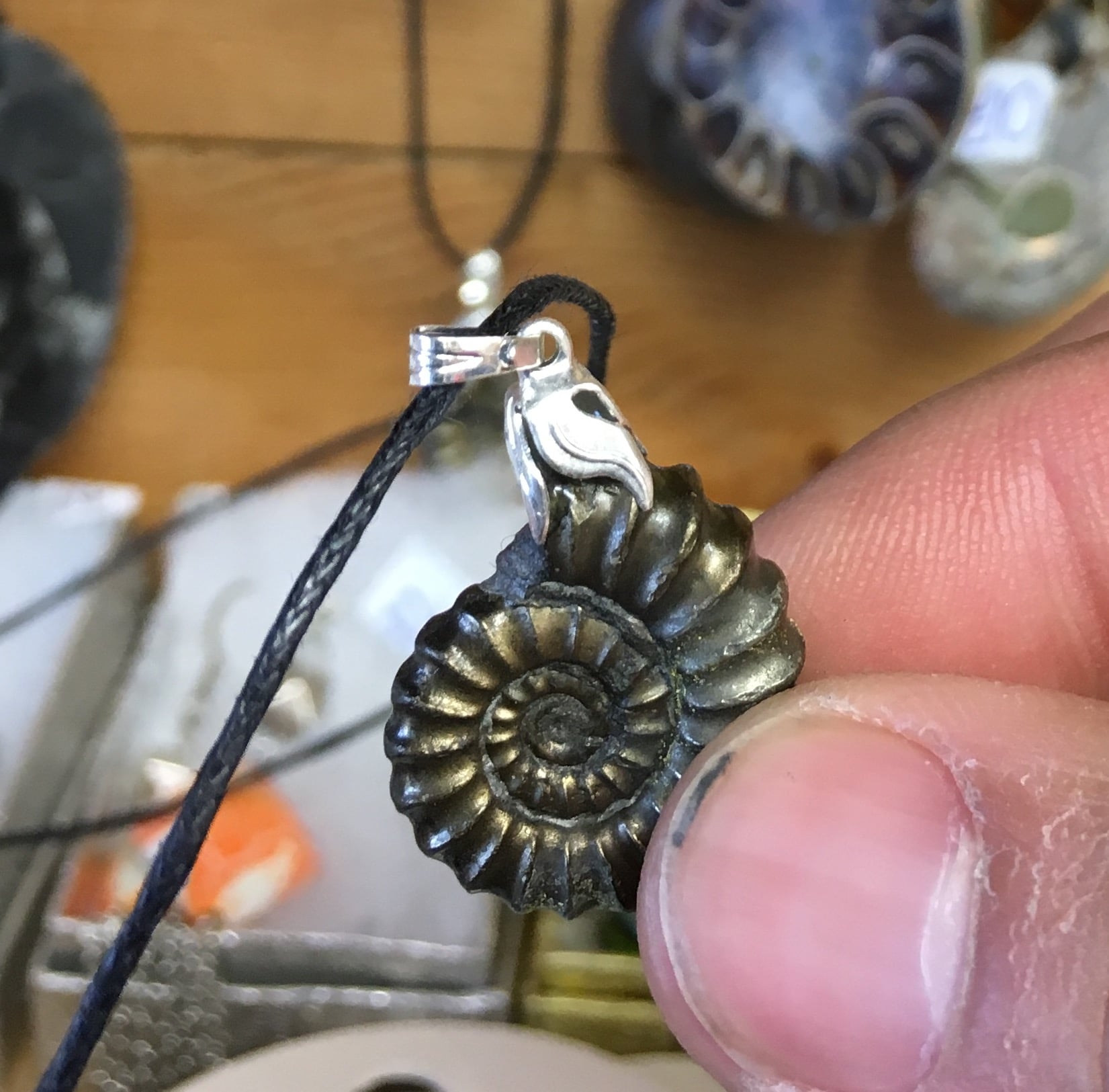 Making an Ammonite Necklace - Questions & Answers - The Fossil Forum