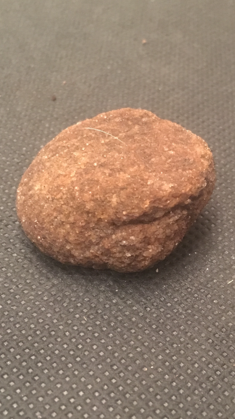 Are these rocks? Coal? Poop? - Fossil ID - The Fossil Forum