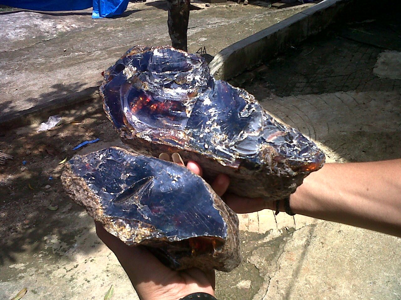 Sumatran Blue Amber - Member Collections - The Fossil Forum