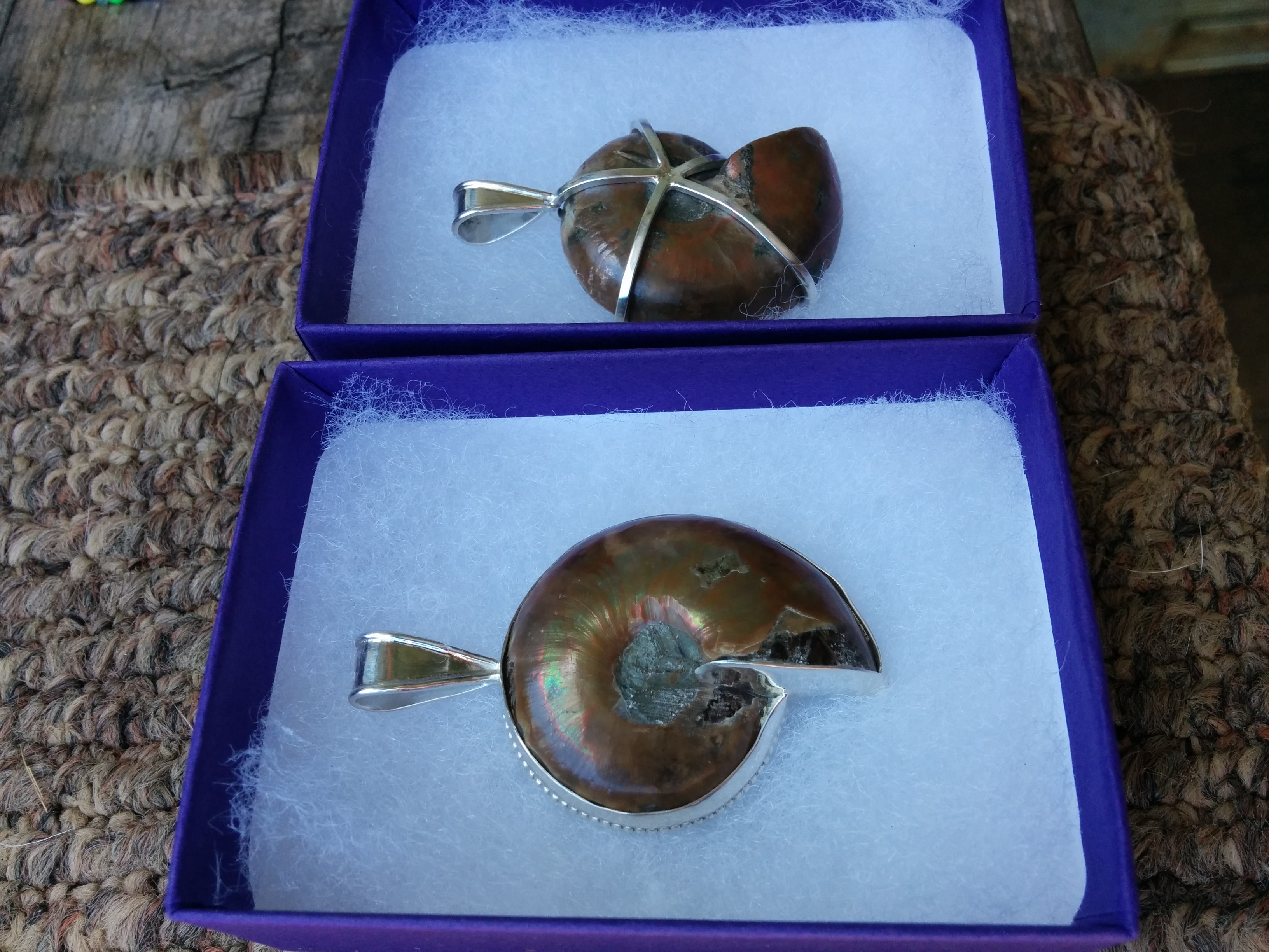 Making an Ammonite Necklace - Questions & Answers - The Fossil Forum