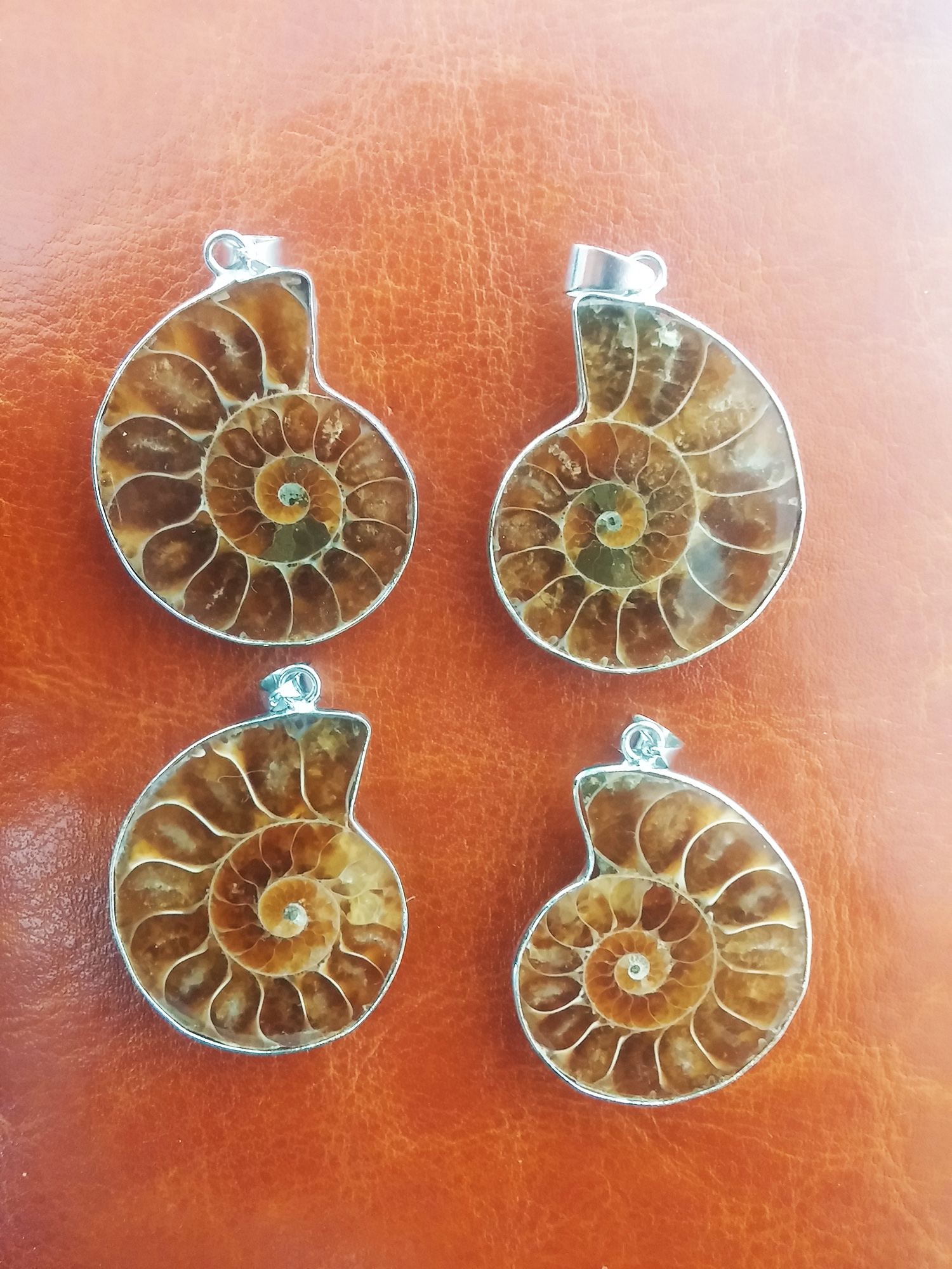 Making an Ammonite Necklace - Questions & Answers - The Fossil Forum