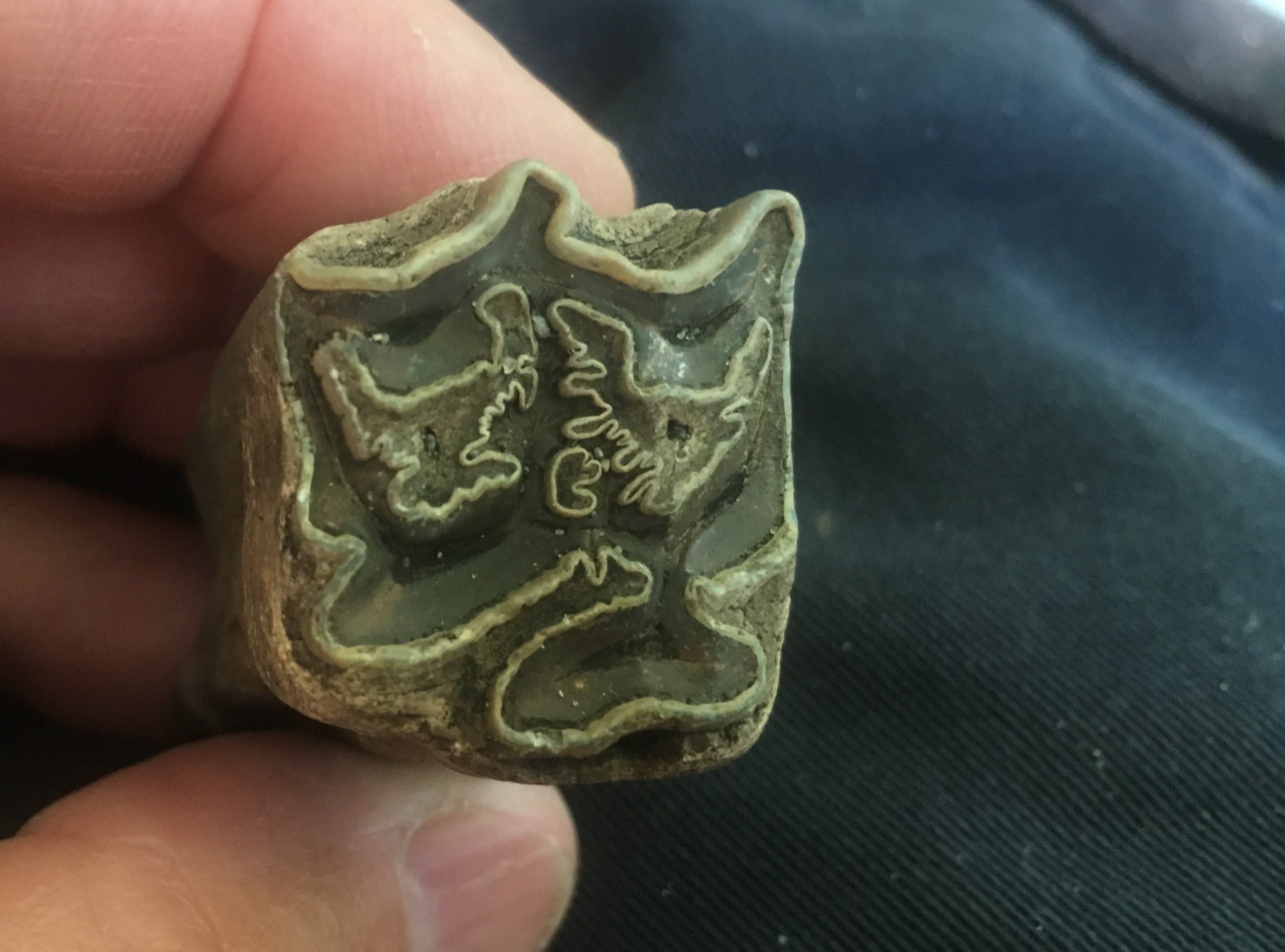 EQUUS Identifications - General Fossil Discussion - The Fossil Forum