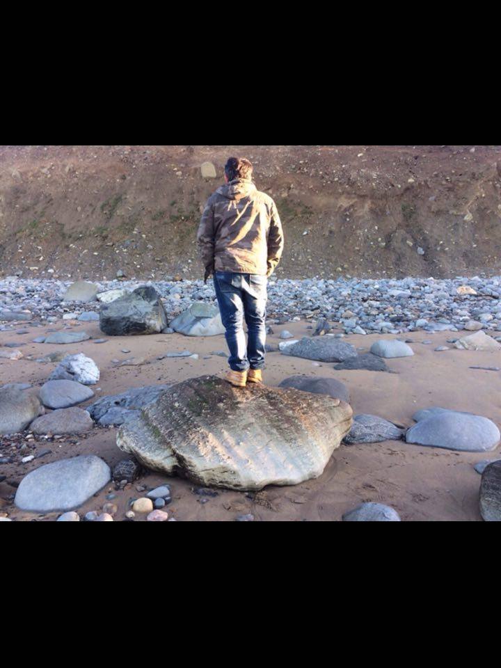 Giant Shell - Fossil ID - The Fossil Forum