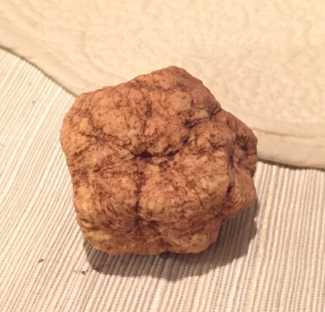 Desert Rose Rock - Rocks & Minerals - The Fossil Forum