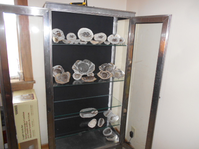 Collection cabinet taking shape - Member Collections - The Fossil Forum