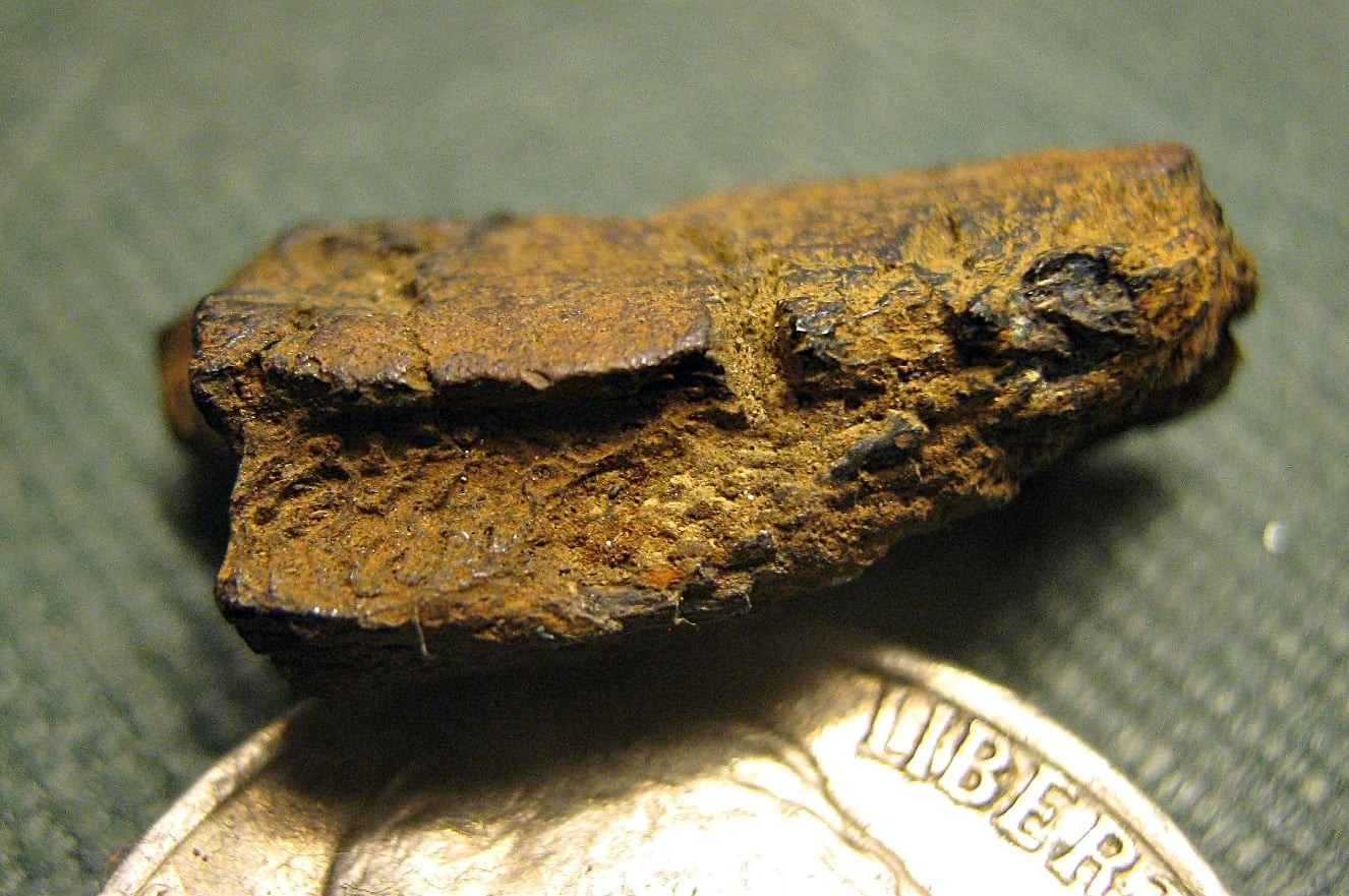 Ratfish Jaw Piece from Big Brook, N,J. - Member Collections - The ...