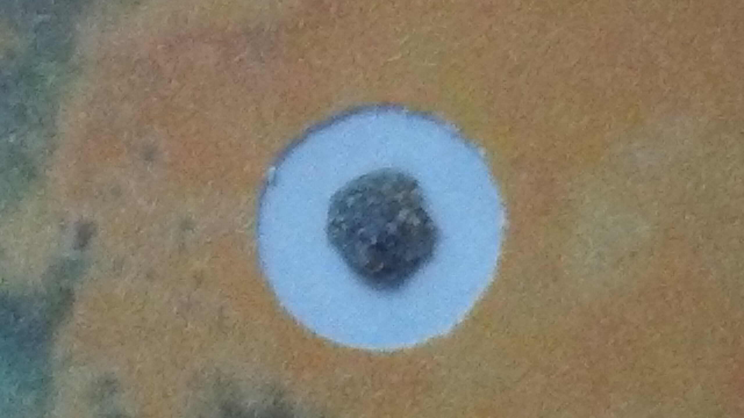 Mars under a microscope - Rocks & Minerals - The Fossil Forum