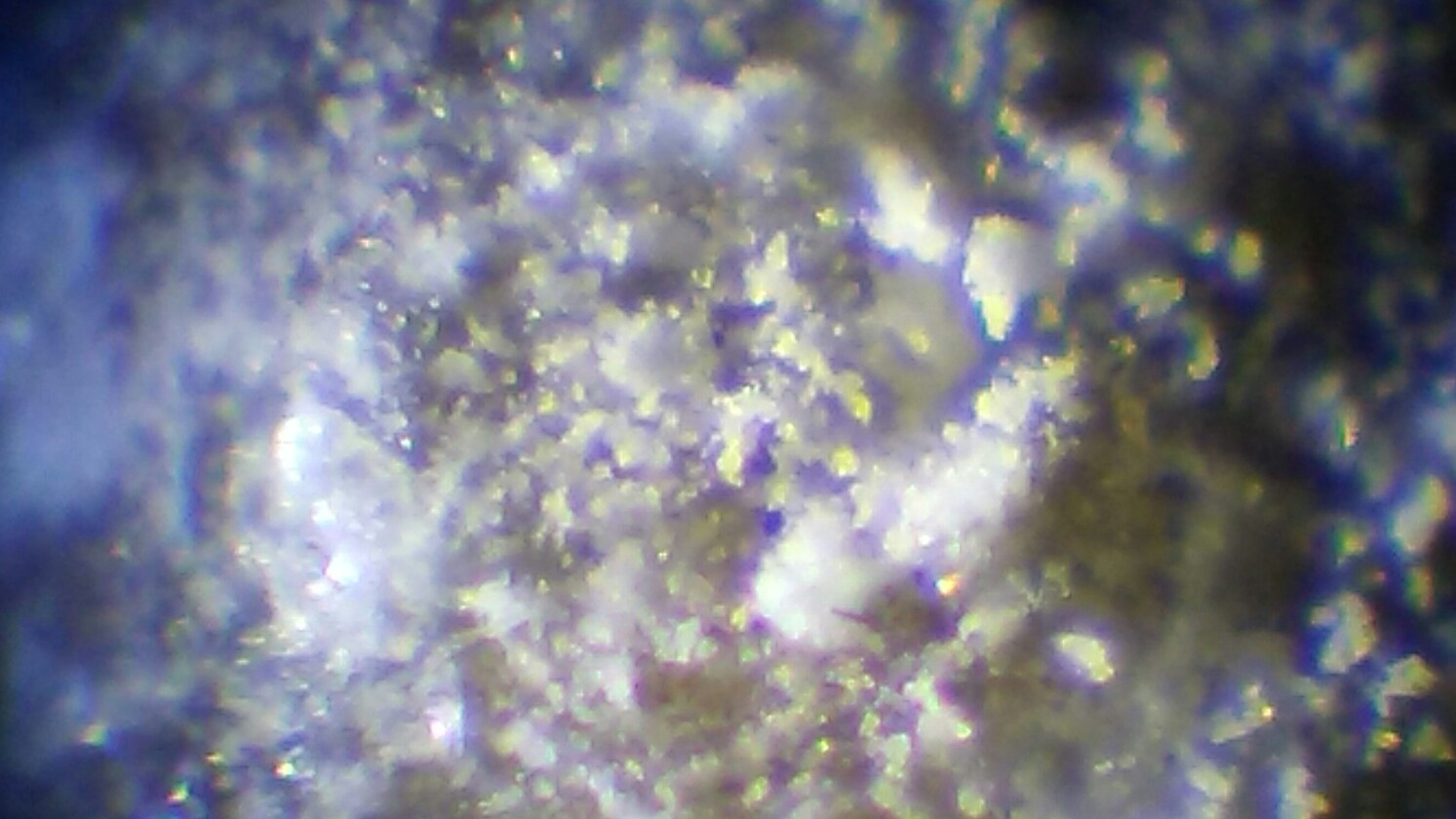 Mars under a microscope - Rocks & Minerals - The Fossil Forum