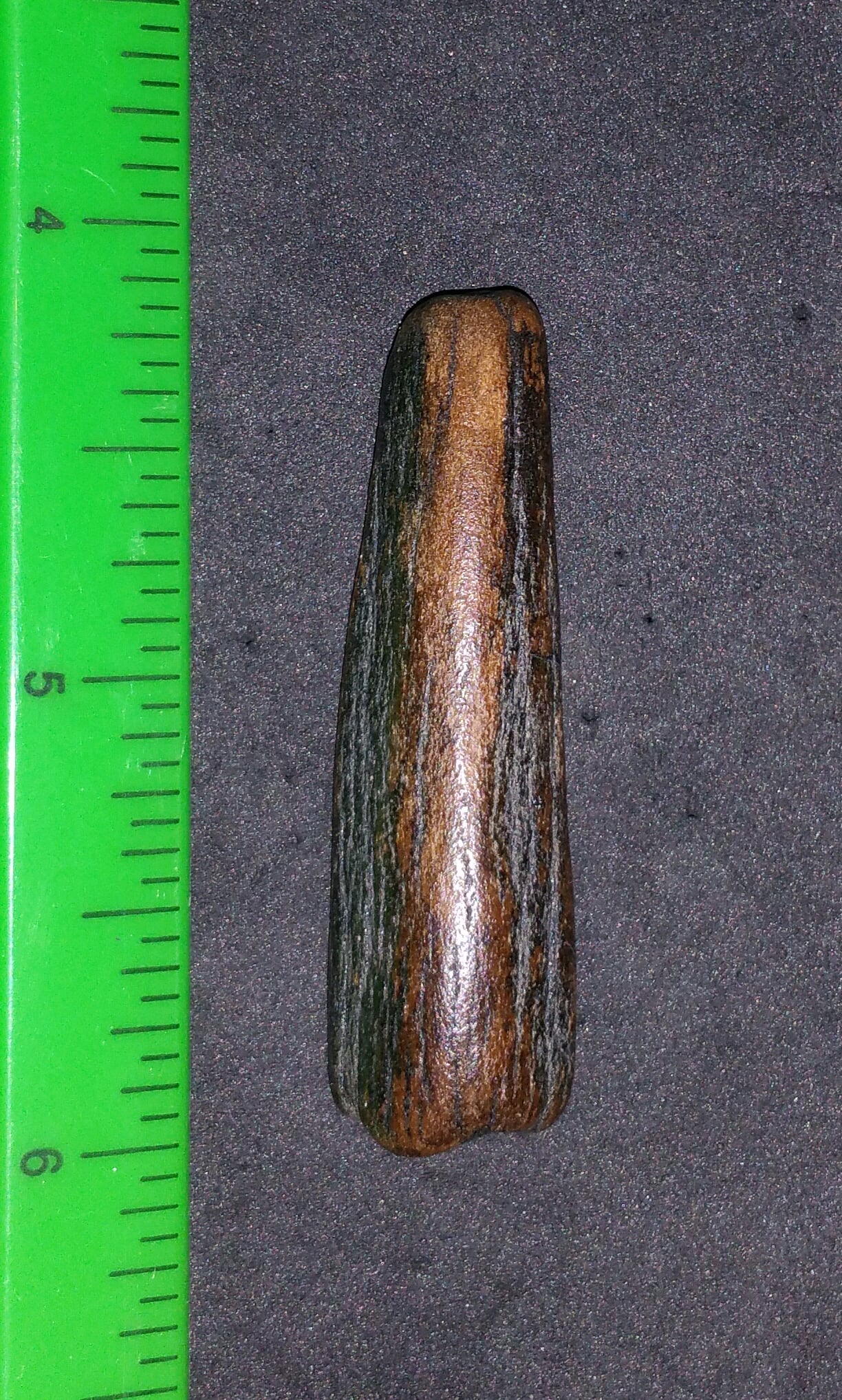 Brazos River, Texas - Tooth - Fossil ID - The Fossil Forum