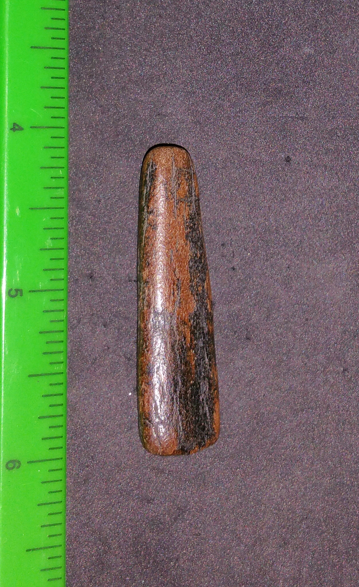 Brazos River, Texas - Tooth - Fossil ID - The Fossil Forum