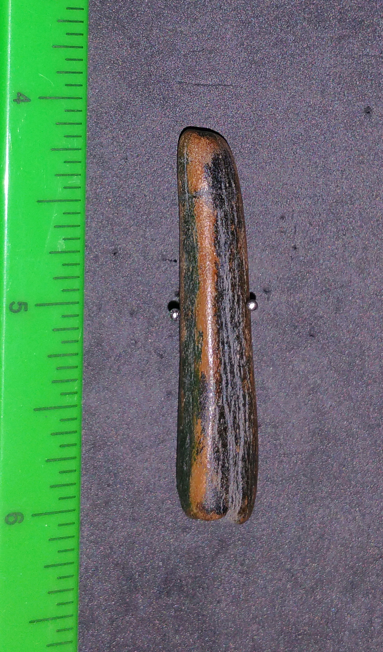Brazos River, Texas - Tooth - Fossil ID - The Fossil Forum