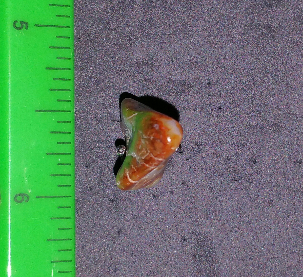 Brazos River, Texas - Tooth? - Fossil ID - The Fossil Forum