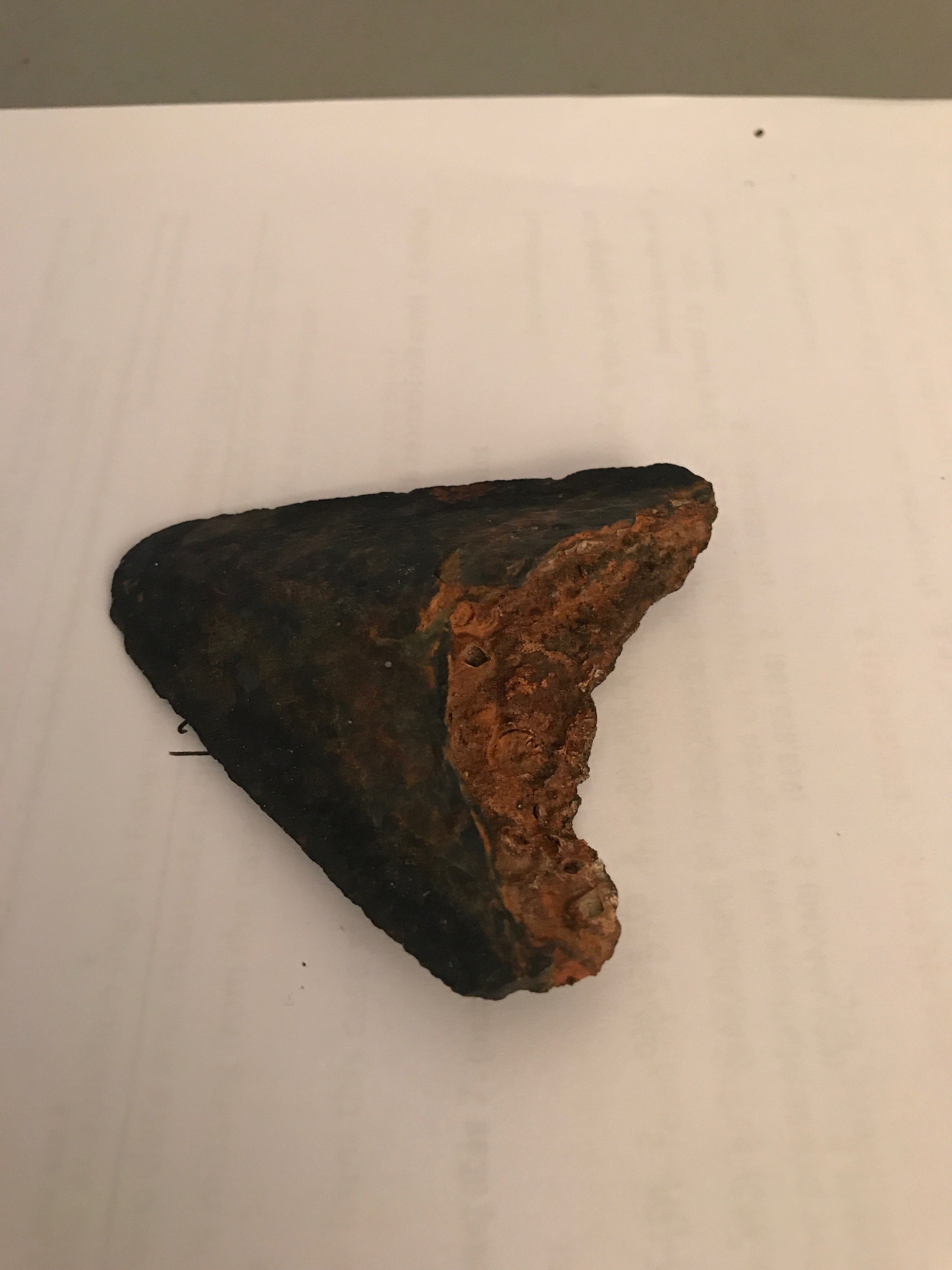 Meg Tooth- with iron? - Fossil ID - The Fossil Forum