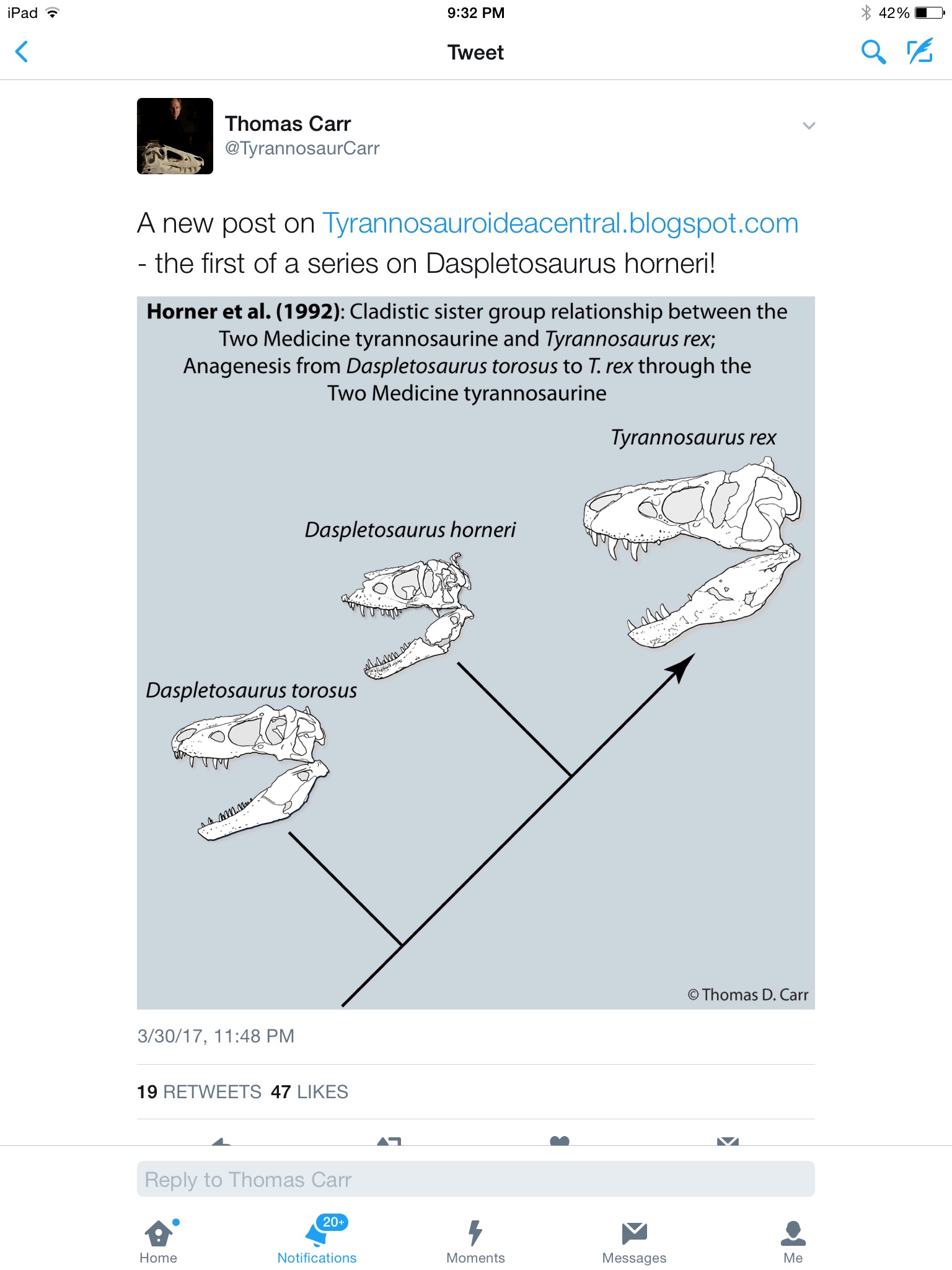 New Daspletosaurus from Two Medicine Formation - Fossil News - The ...