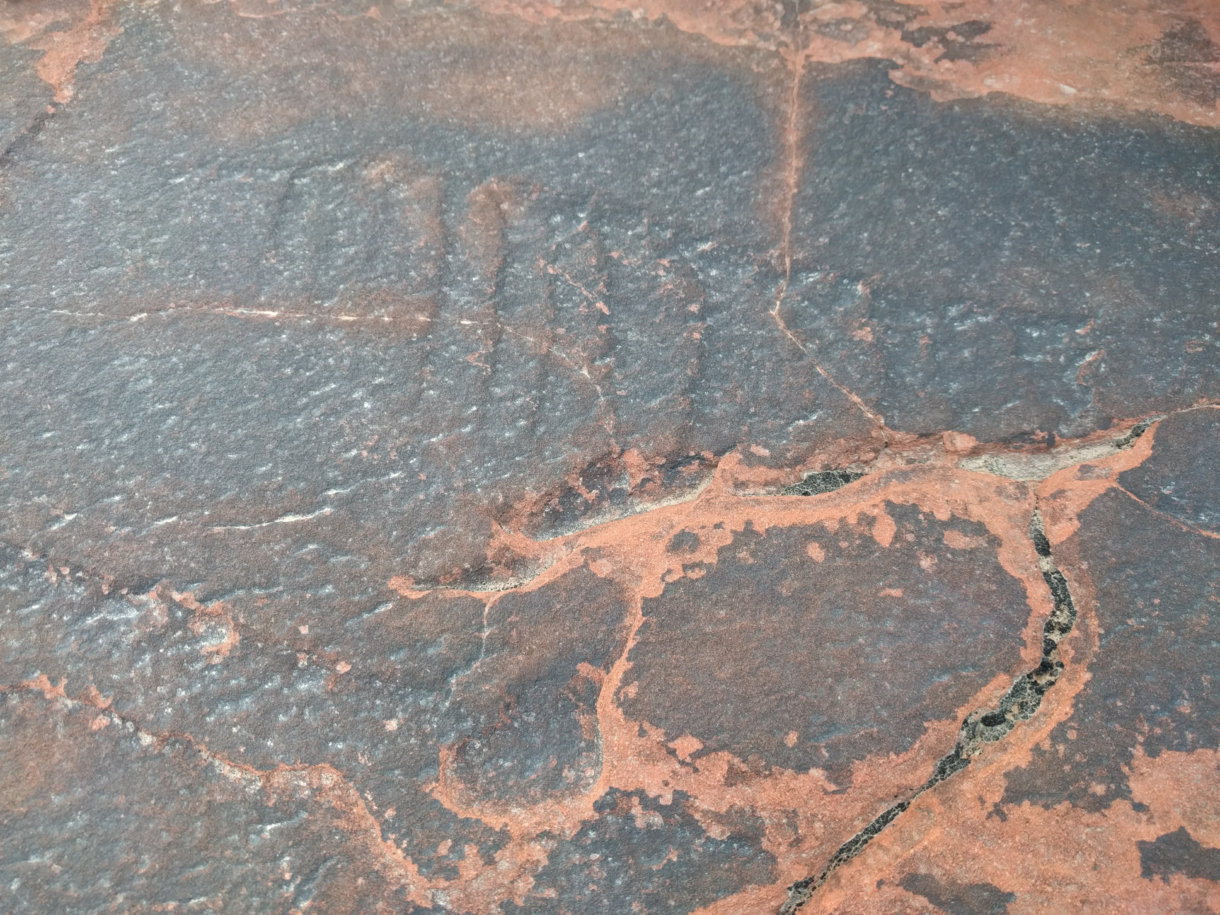 Pattern of Ripples in Sandstone - Fossil ID - The Fossil Forum