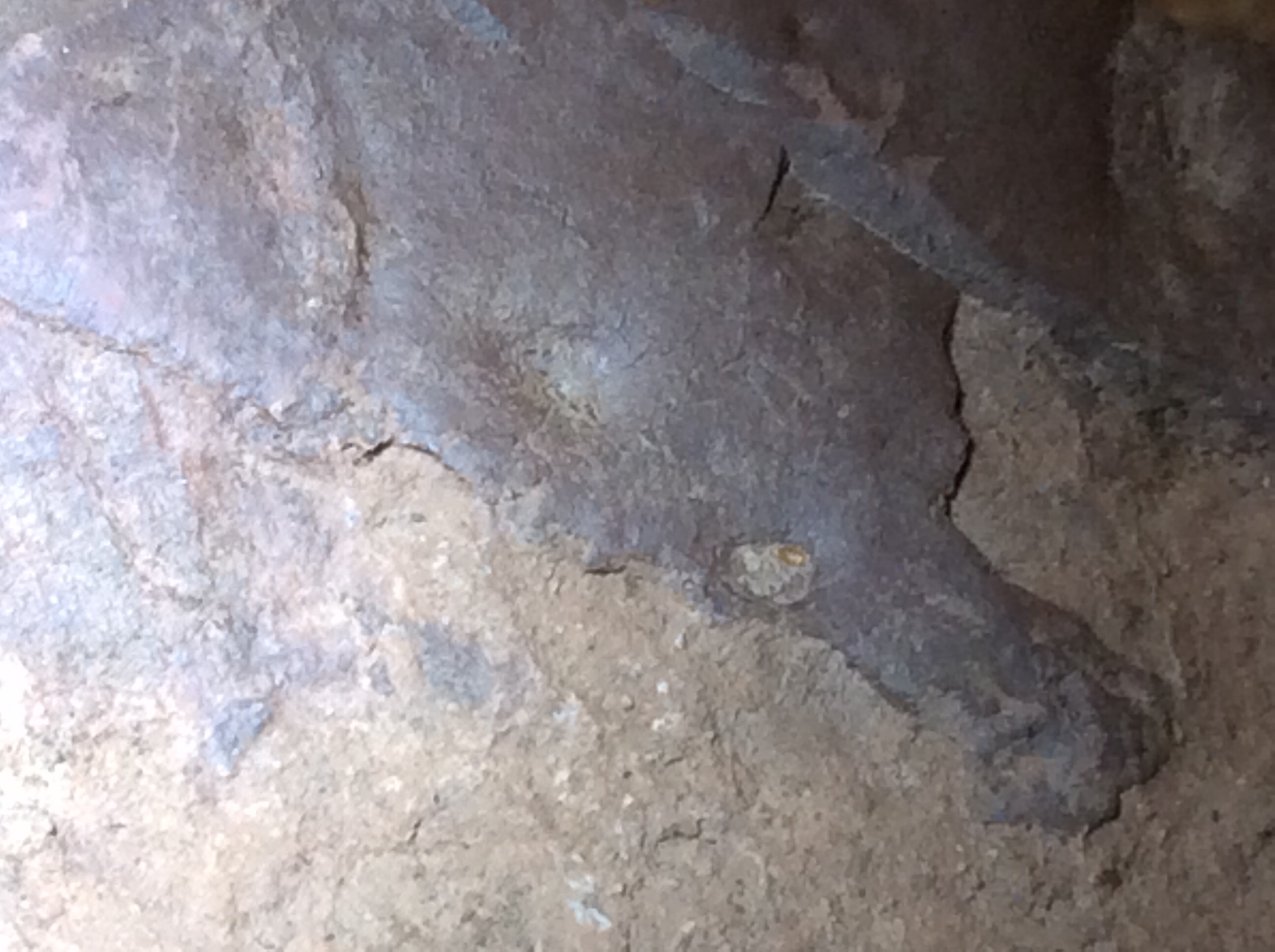 Raindrops imprint? - Fossil ID - The Fossil Forum