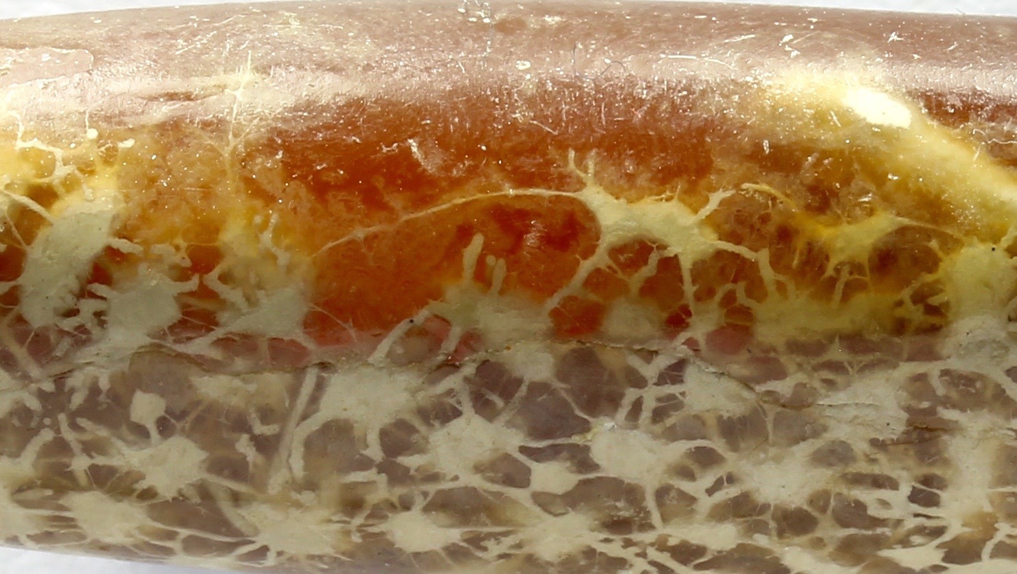 Entobia cretacea - Ichnofossils - The Fossil Forum