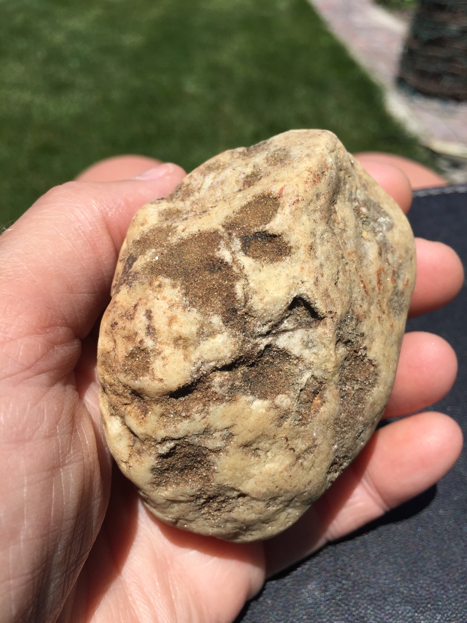 Would these be considered fossils? - Fossil ID - The Fossil Forum