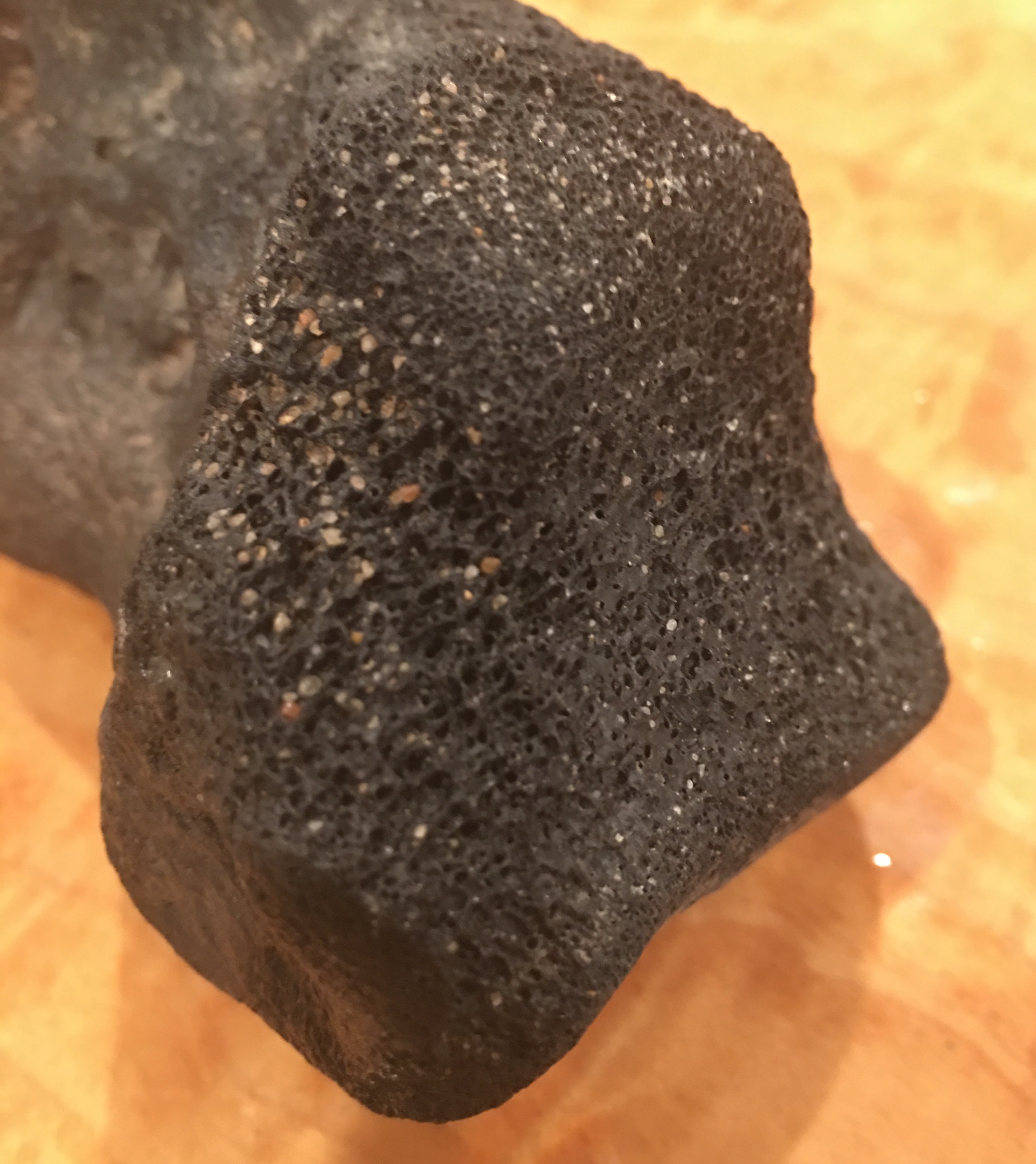 Fossilized Bone? - Fossil ID - The Fossil Forum