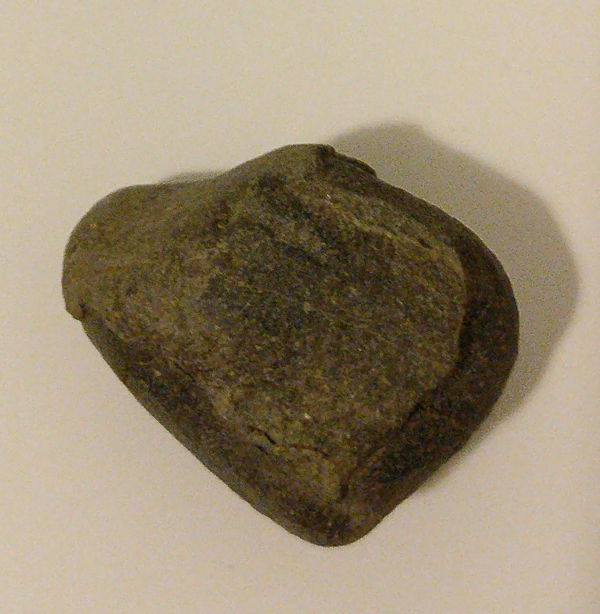 Fossil ID - Fossil ID - The Fossil Forum