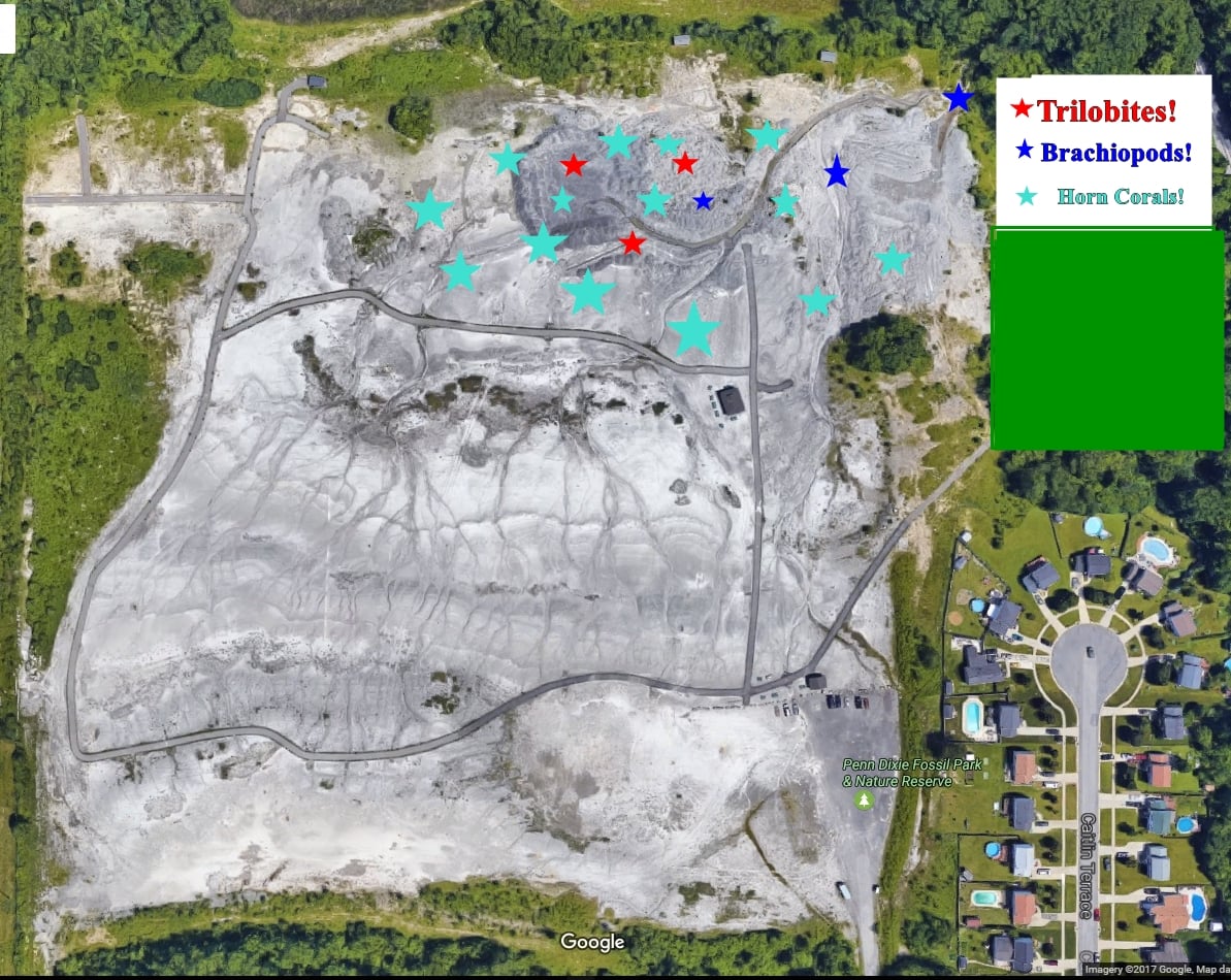 Planning a trip to Penn Dixie - Fossil Hunting Trips - The Fossil Forum