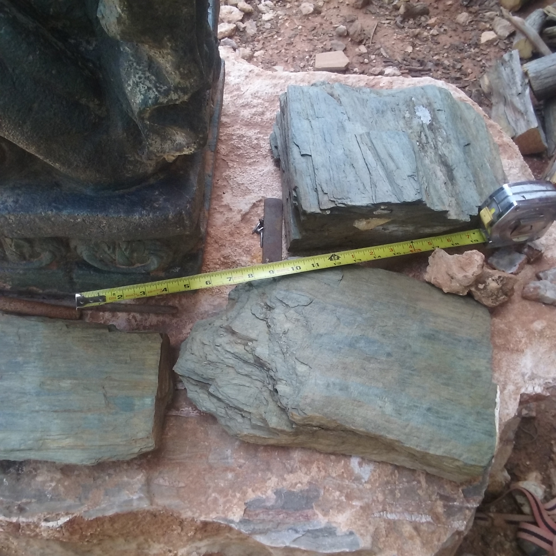 Chromium petrified wood? - Fossil ID - The Fossil Forum