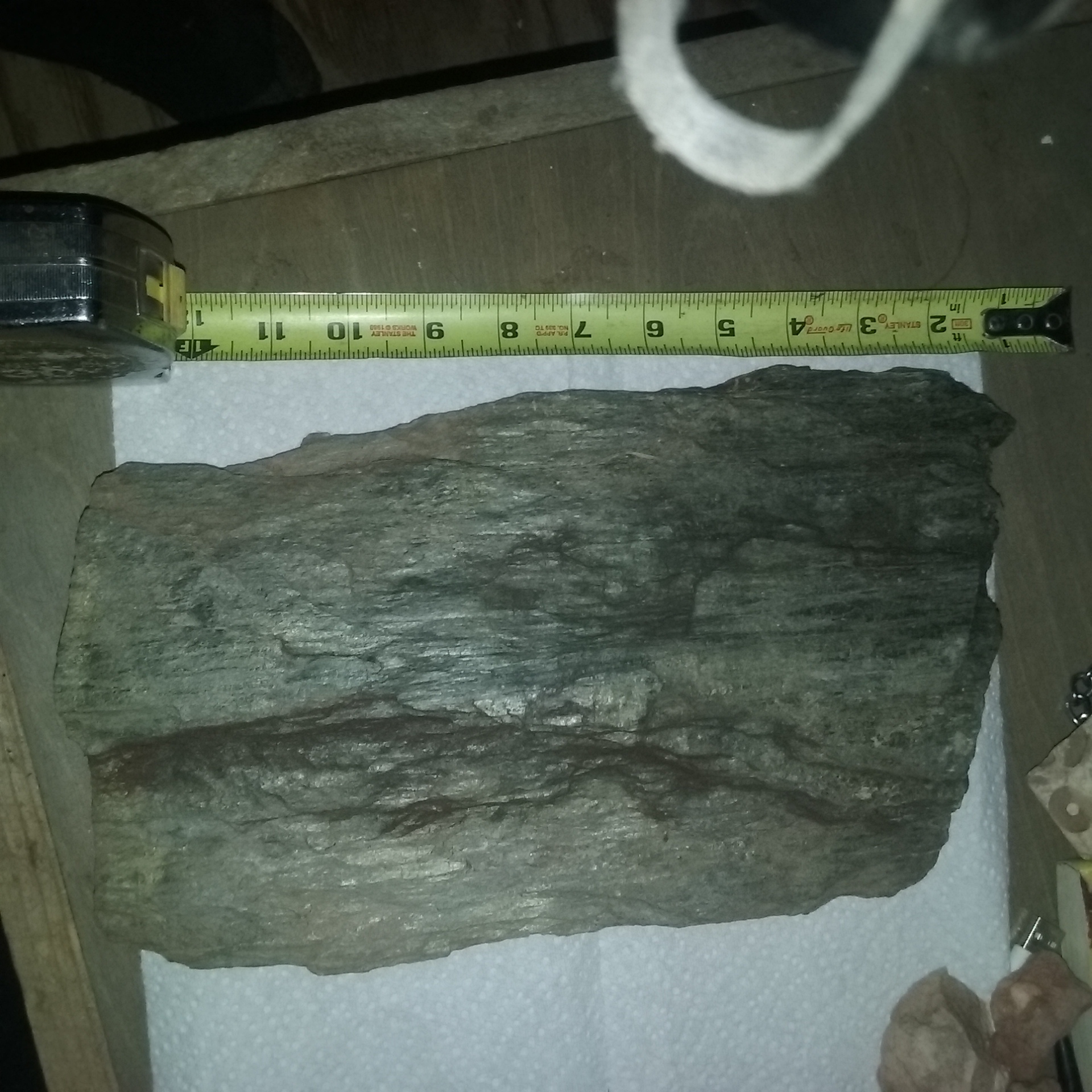 Chromium petrified wood? - Fossil ID - The Fossil Forum